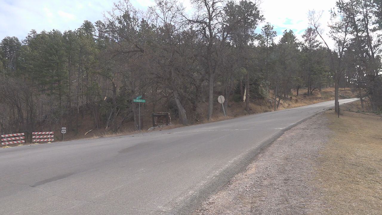 Realignment of Custer State Park’s Wildlife Loop Road set for Jan 12