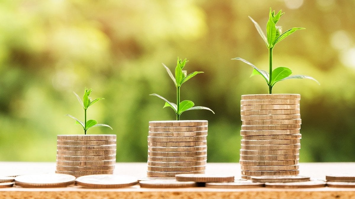 Quanto fattura Piquadro? La crescita è più solida di quanto sembri ...