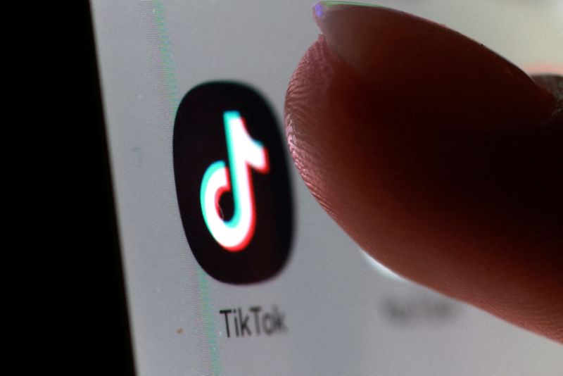Britain takes to TikTok to highlight immigration raids