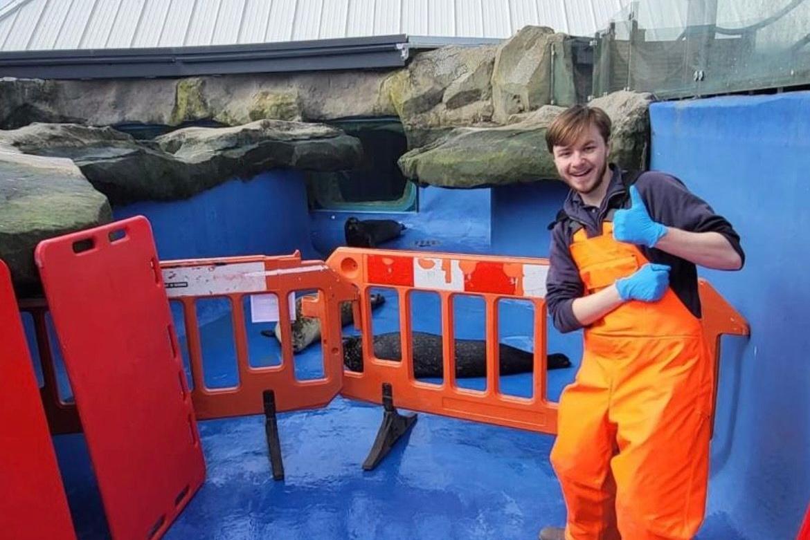 Just the job: Meet Karl, aquarist at SEA LIFE Scarborough