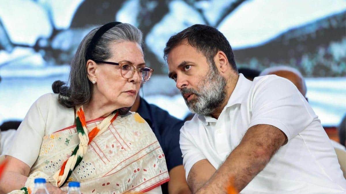 Sonia Gandhi accuses Modi government of 'bulldozing' MNREGA in save ...
