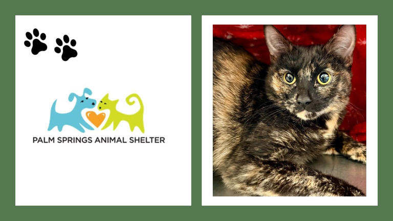 Jan. 13 daily briefing: Clustering concerns, library money, attack ...