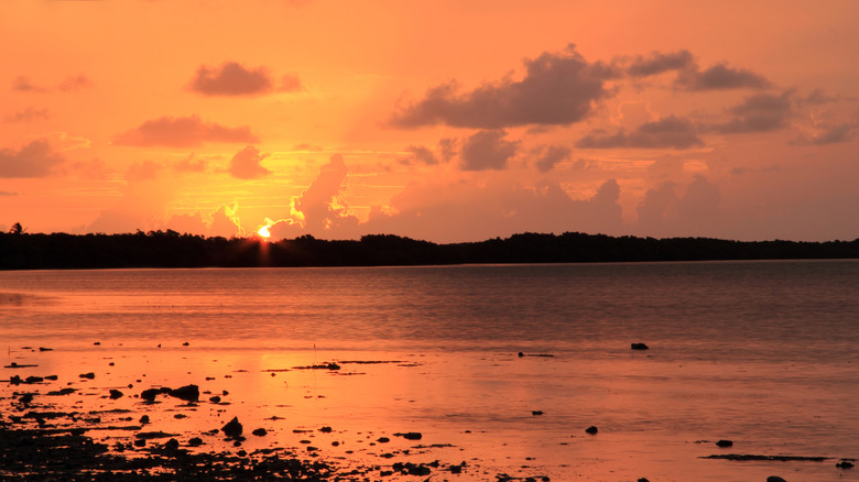 The best secret beaches in the Florida Keys, according to travelers
