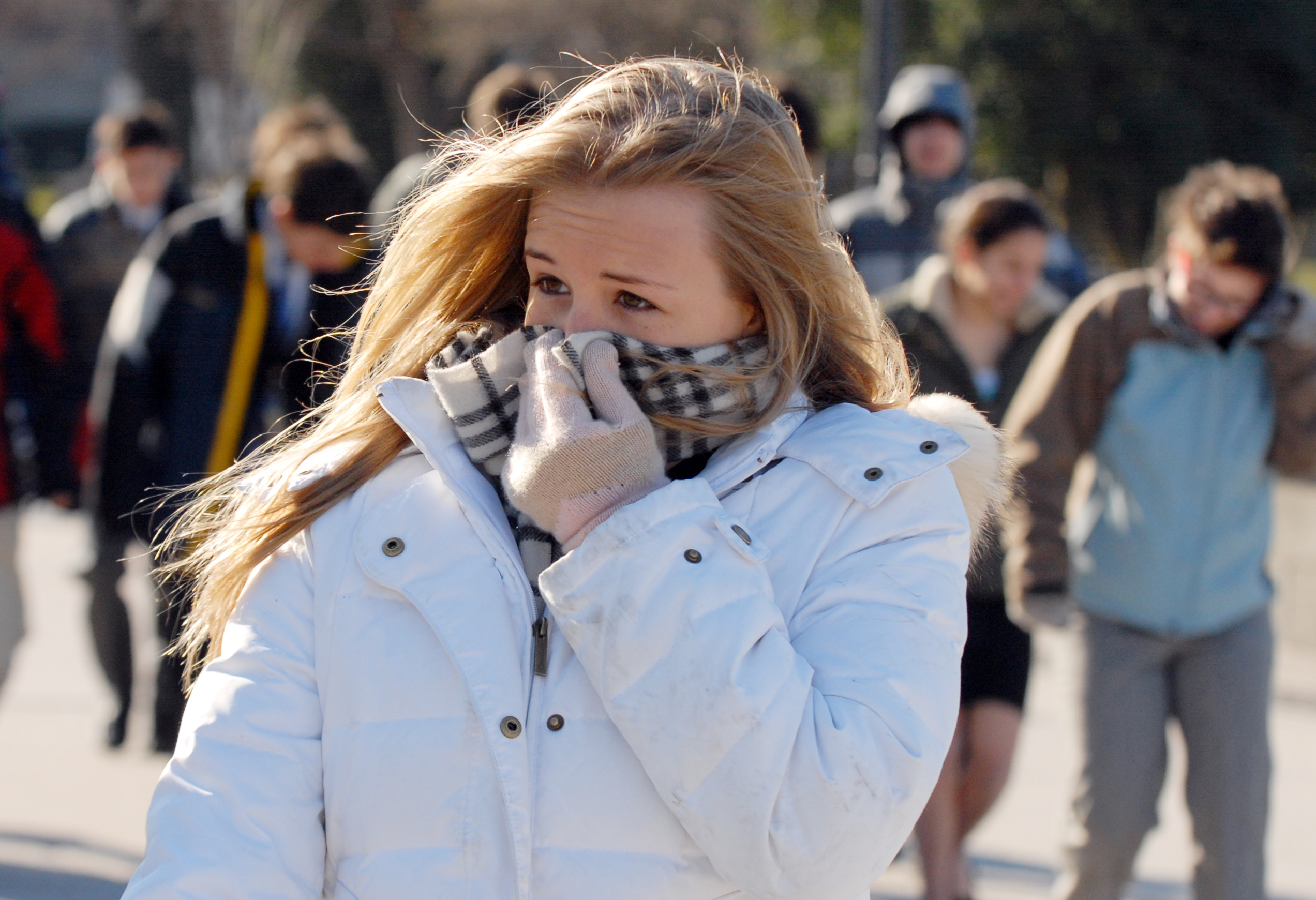 Influenza, febbre e farmaci: i 4 consigli del virologo