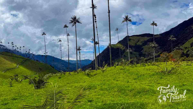 Trip report: Adventures by Disney Colombia