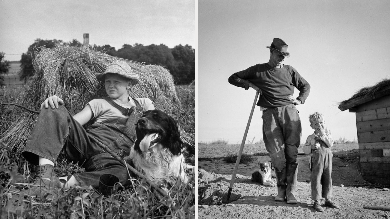Vintage farming life captured in photos