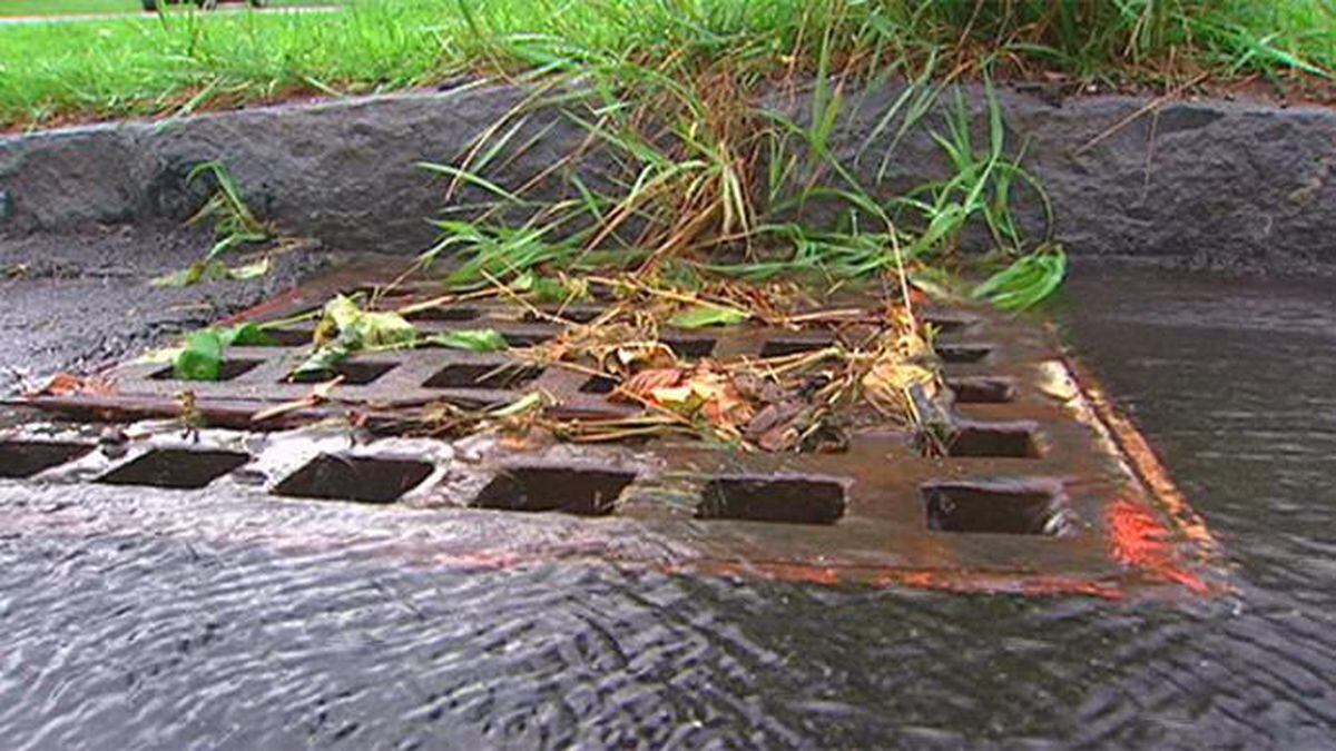 Vermont program helps residents protect waterways