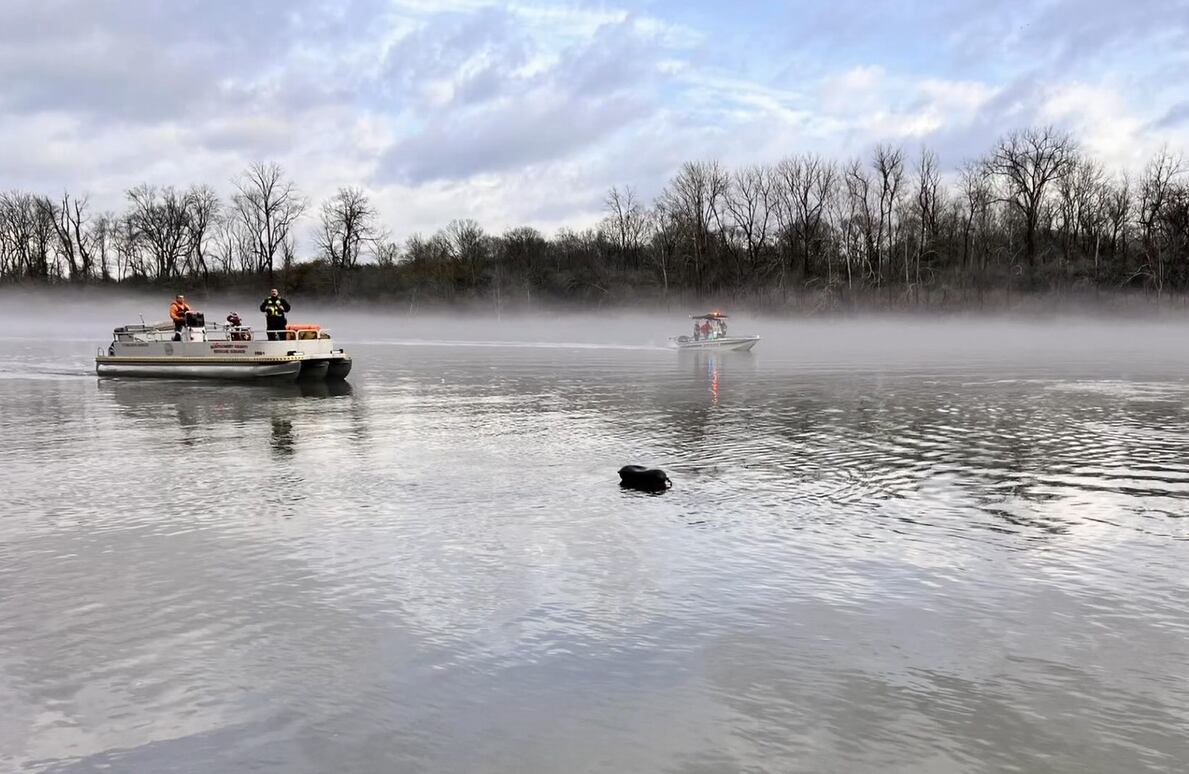 Police identify woman found dead with dog in car submerged in ...