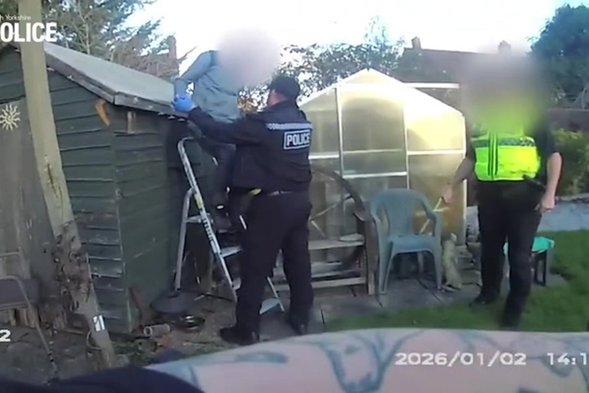 Wanted man gets stuck on garden shed roof while fleeing police