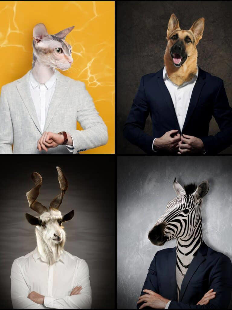 The 4 animal personality types test everyone's talking about (and why ...