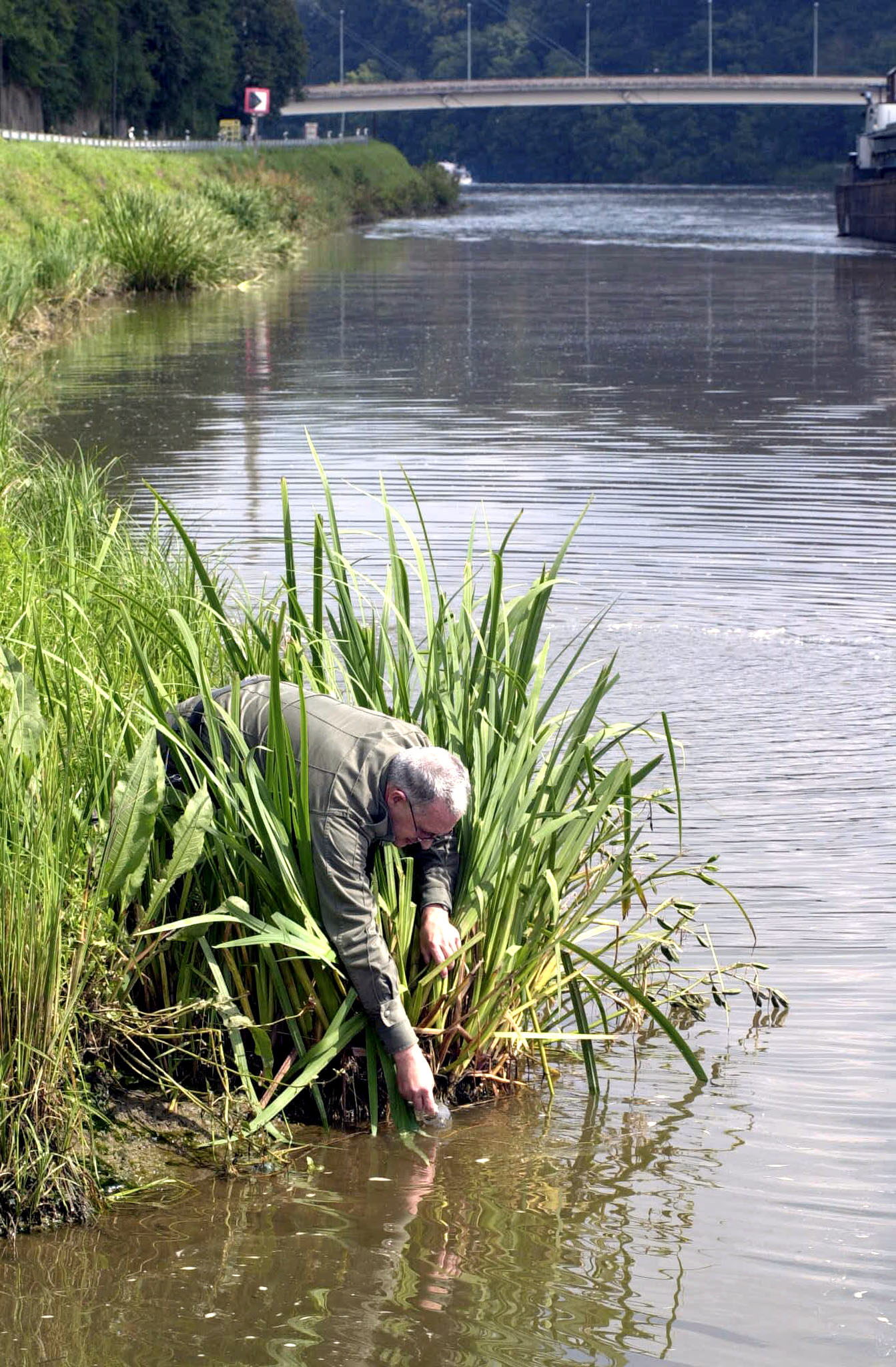 Wallonië identificeert grote vervuiler die pesticide in de Maas dumpt
