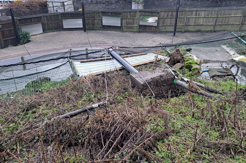 Dudley Zoo raises £10k in less than 24 hours after enclosure destroyed