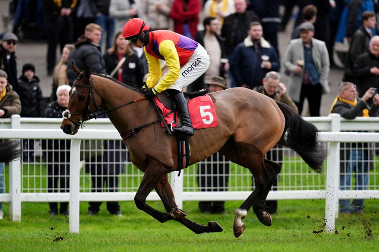 Dan Skelton the Guy to back at Newbury – Jason Heavey's Wednesday horse ...