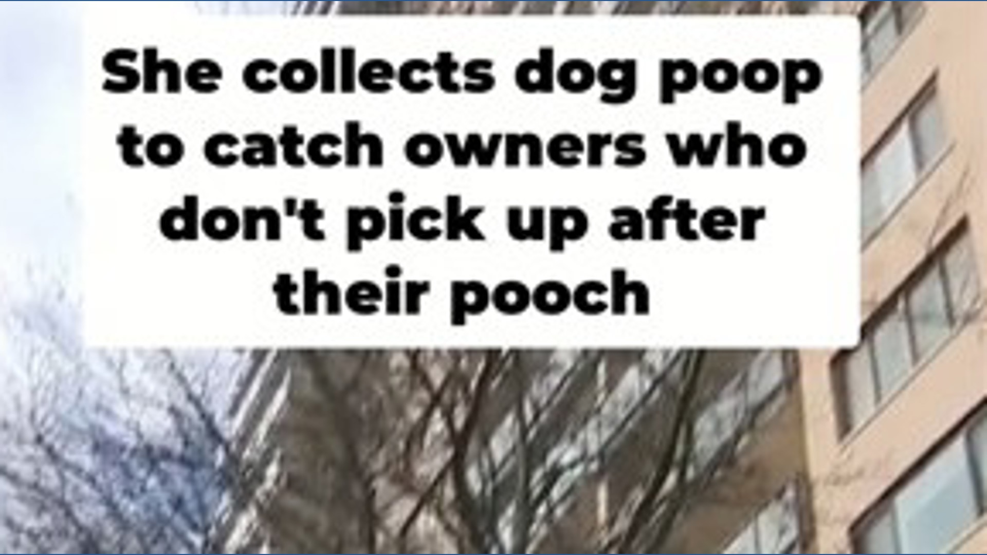 DNA testing is helping communities crack down on dog waste left behind