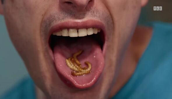 TV star admits he's addicted to eating live bugs - 'I love how it ...