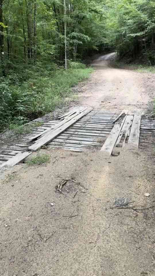 Should I have driven across this dangerous rotten wooden bridge?