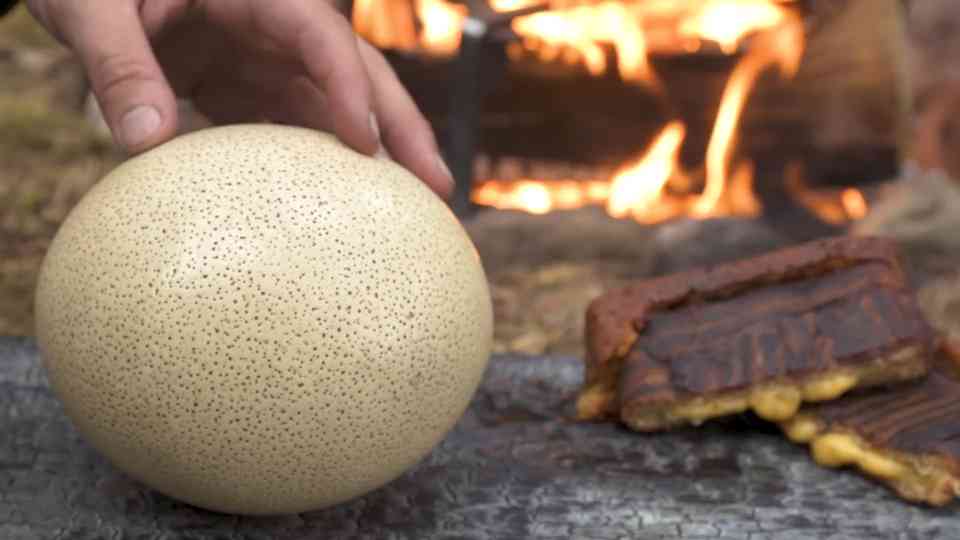 What does the world’s largest boiled egg look like?
