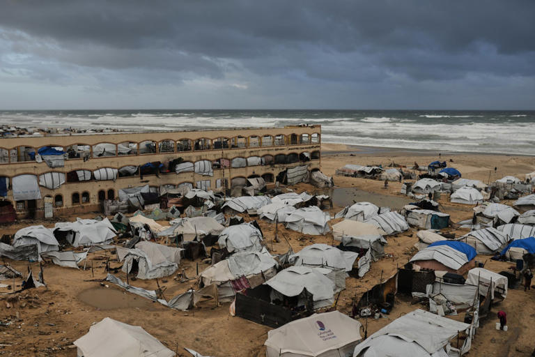 Several dead as strong winds hit Gaza’s tent camps