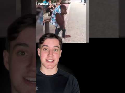 Examples of animals exhibiting human-like behavior