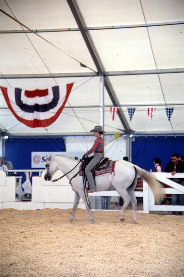 South Florida Fair's history includes airport, PBSC, courthouse