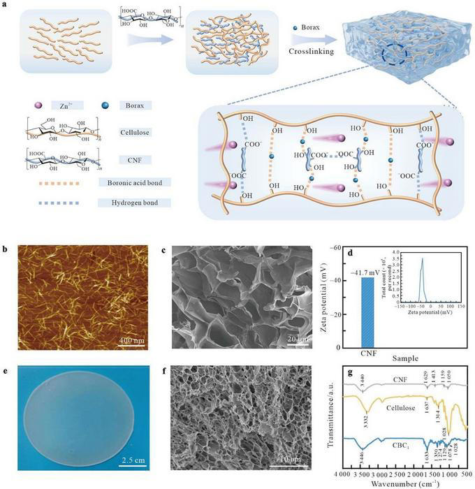 Water-based zinc battery achieves 1,000 cycles with bamboo-derived hydrogel