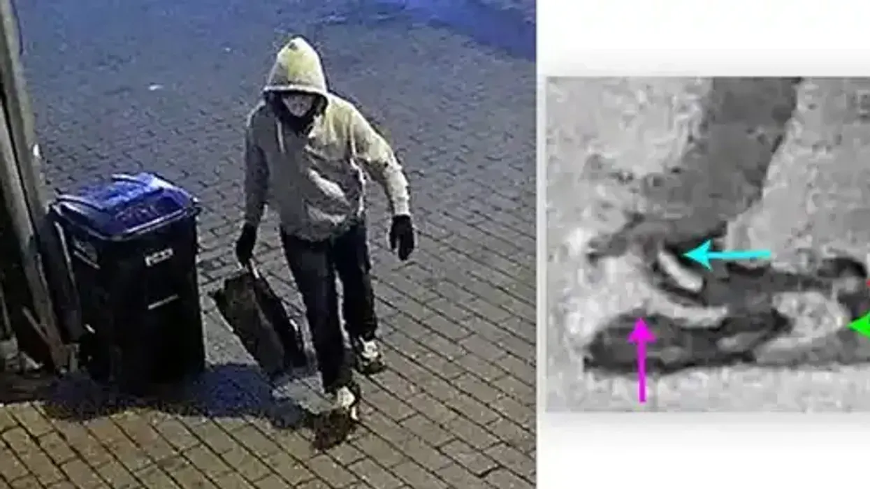 Trump-voting DC pipe bomber’s lawyer claims J6 pardon applies to client