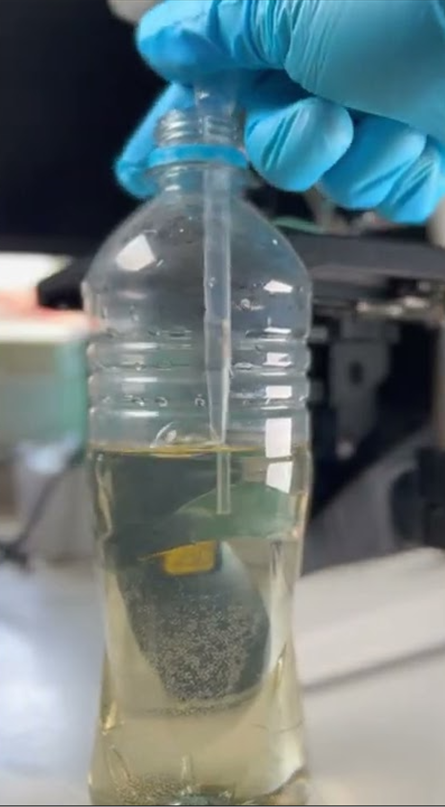 Shocking find in water from a campsite fountain! - Under the microscope!