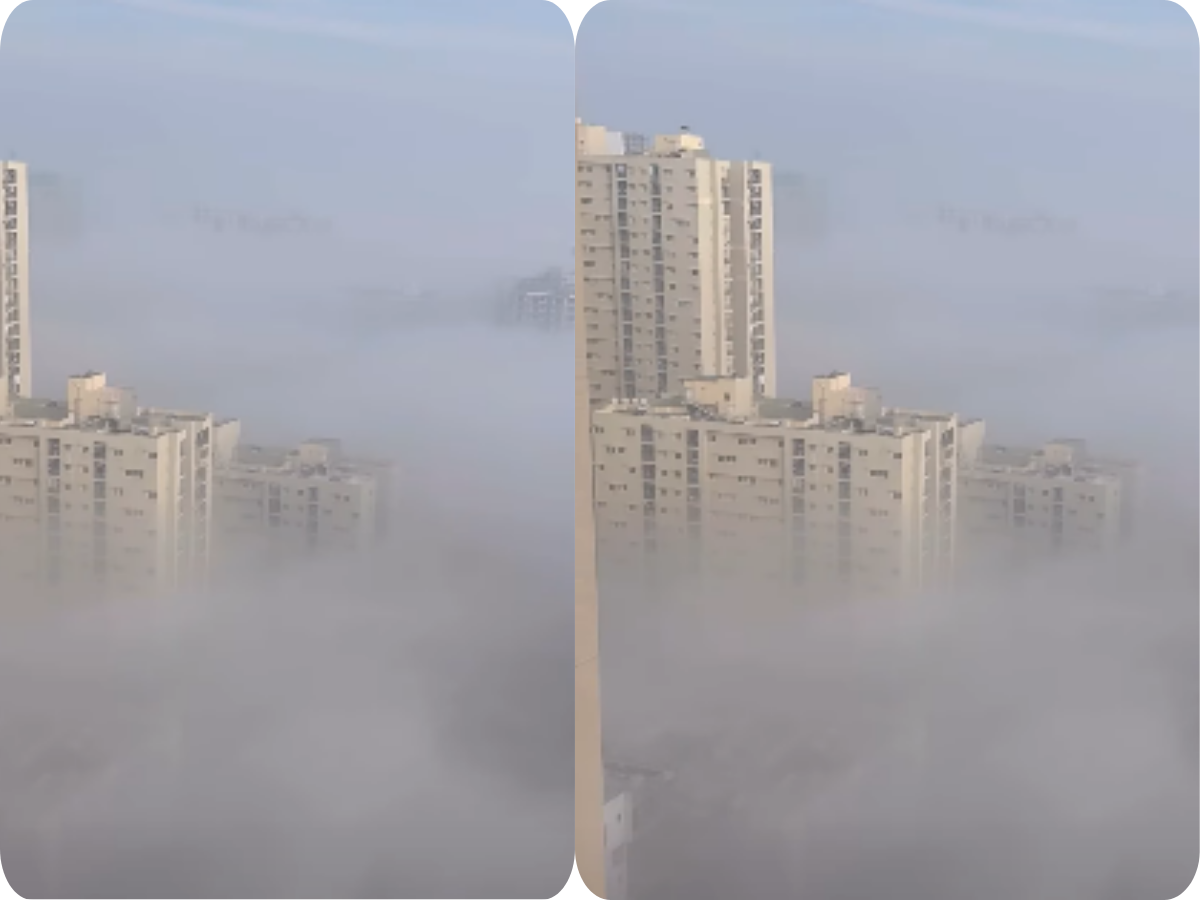 ‘Floating above the chaos’: Bengaluru's software engineers’ dreamy 27th ...