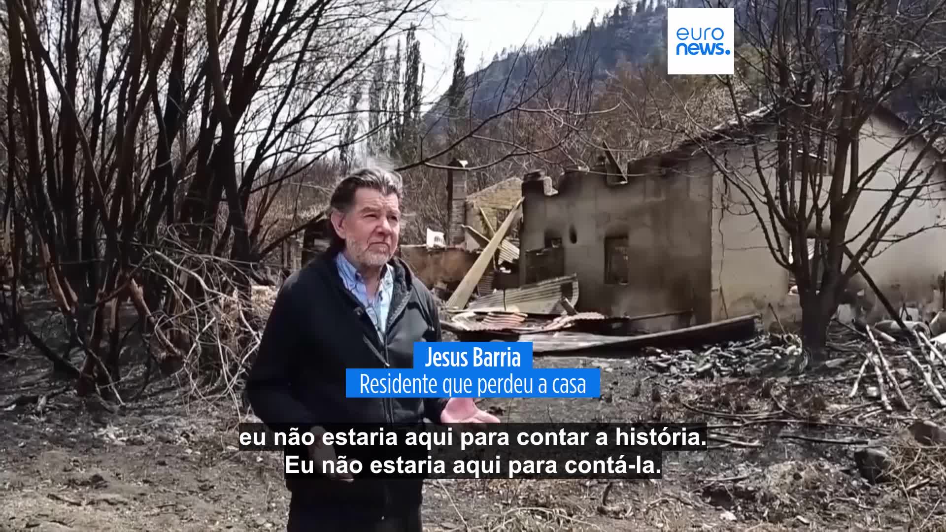 Incêndios florestais: mais de dez mil hectares podem ter sido ...