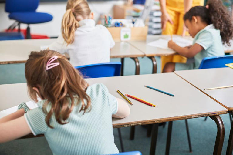 Cork schools to get 13 new special education classes as demand for ...