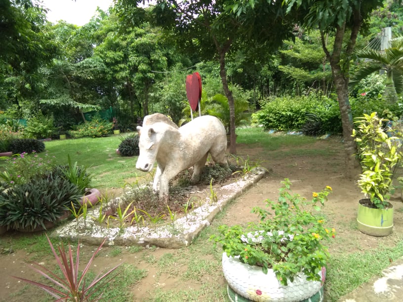 Mandaue’s regular garbage collection resumes on Jan. 14