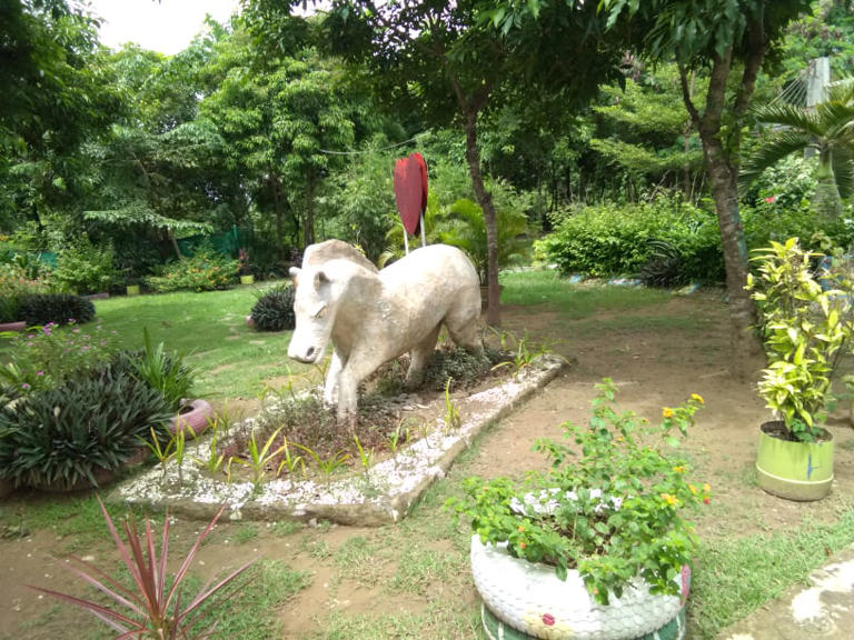 Mandaue’s regular garbage collection resumes on Jan. 14