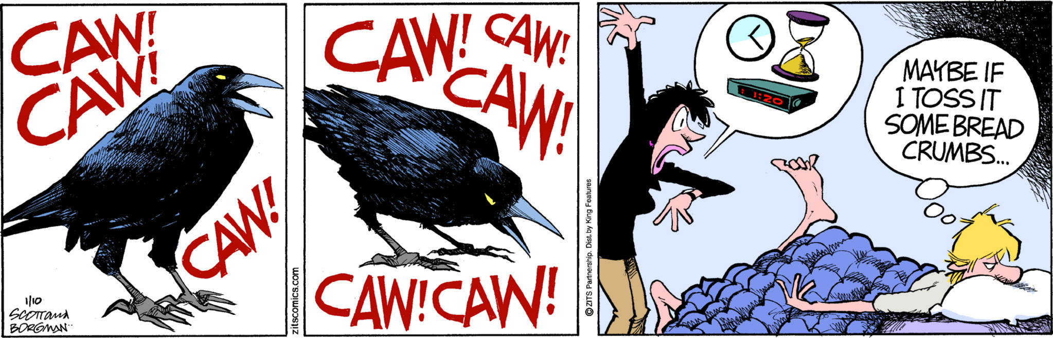 Zits by Jerry Scott and Jim Borgman