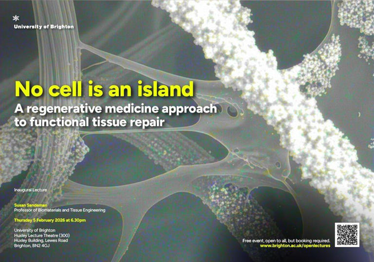 University of Brighton public lecture series showcases groundbreaking ...