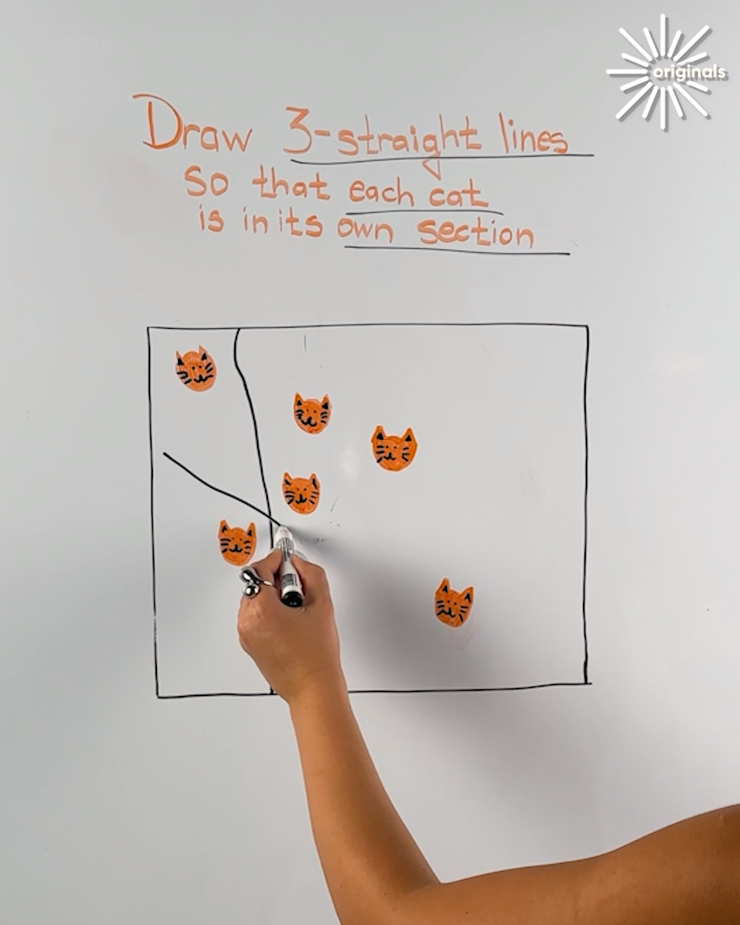 This cat puzzle might break your brain 😺🧩