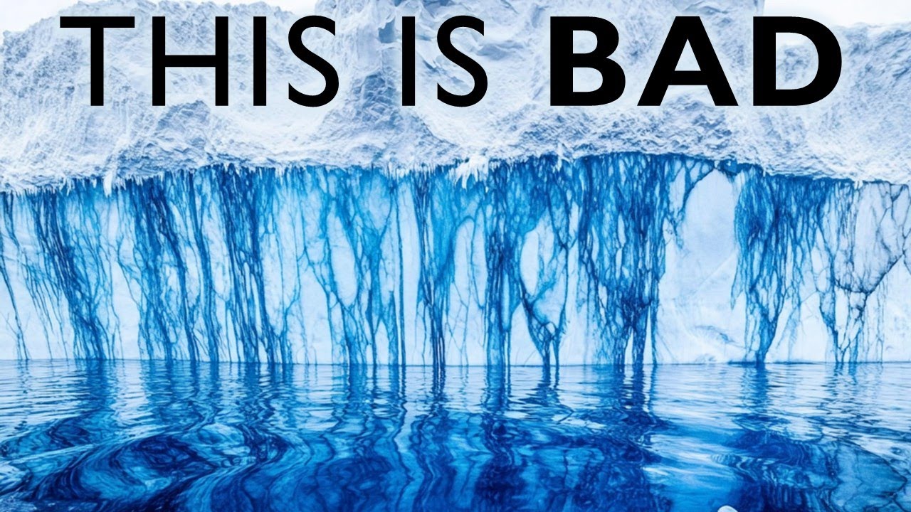 Researchers did not expect to find this under Antarctic ice