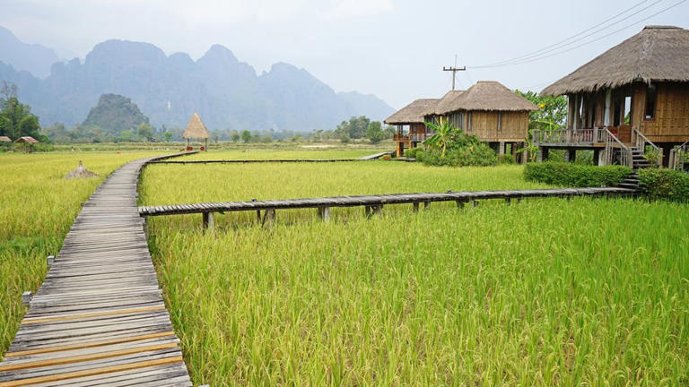 ABP Live budget traveller | How to plan a dream trip to Laos under ₹30K ...