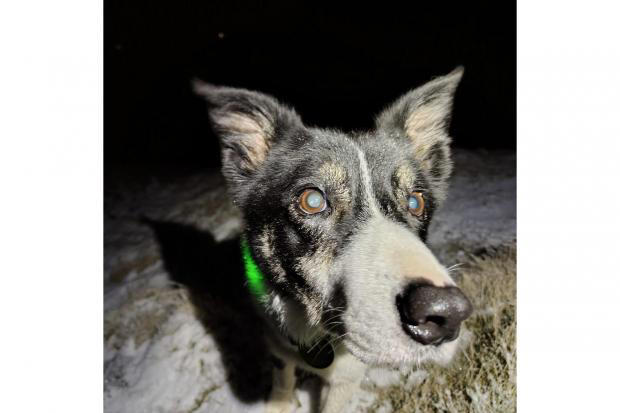 Lake District: Eden based mountain rescue team in first callouts of 2026