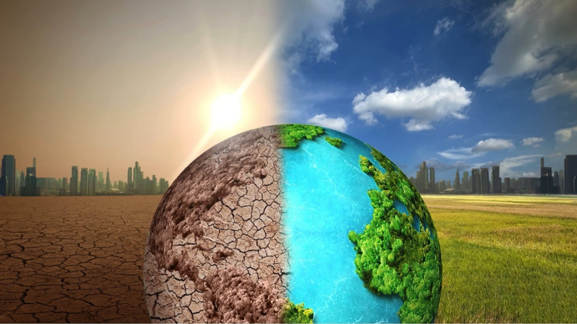 Climate change drives global food prices up 280% as extreme weather ...