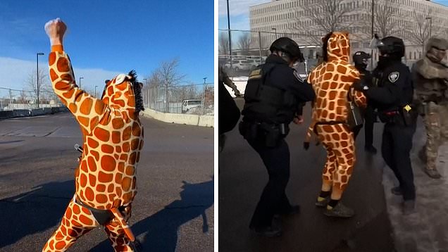Dancing giraffe arrested at anti-ICE protest near fatal Minnesota ...