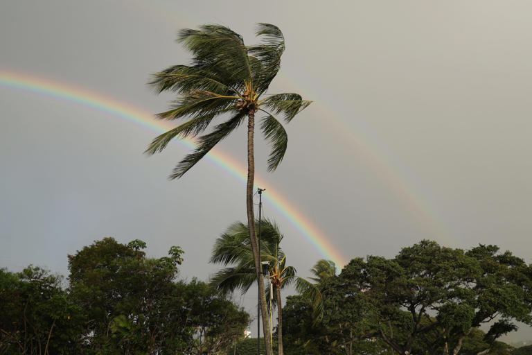 2026 Sony Open in Hawaii payout, purse: How much does each golfer get?