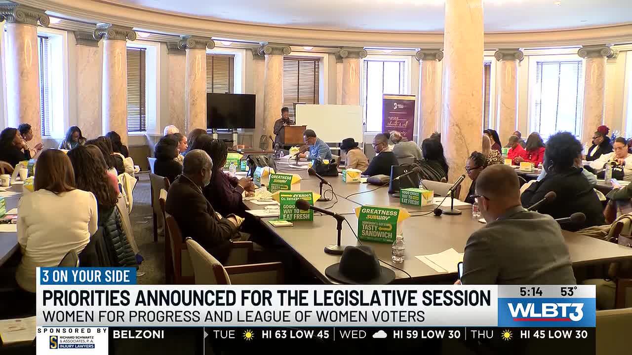 Women’s organizations lay out their priorities for the legislative session