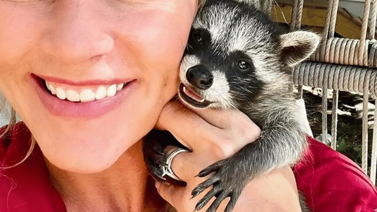 This family raised a raccoon like a baby - and she became their 6th kid