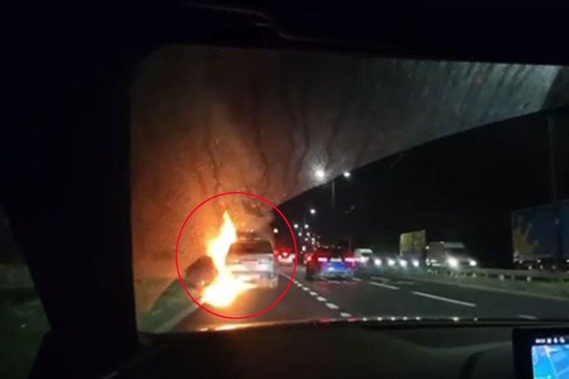 Footage shows crazy moment driver risks life by getting too close to ...