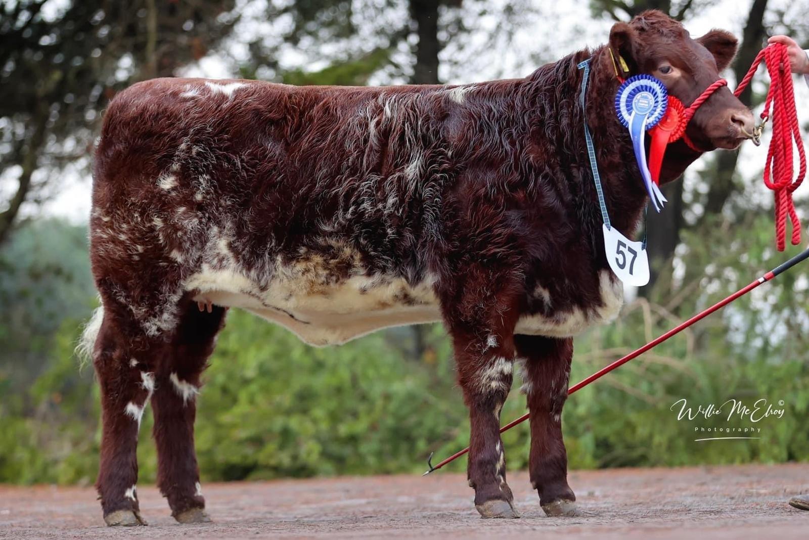 2026 Gill Hall Estate on-farm production sale