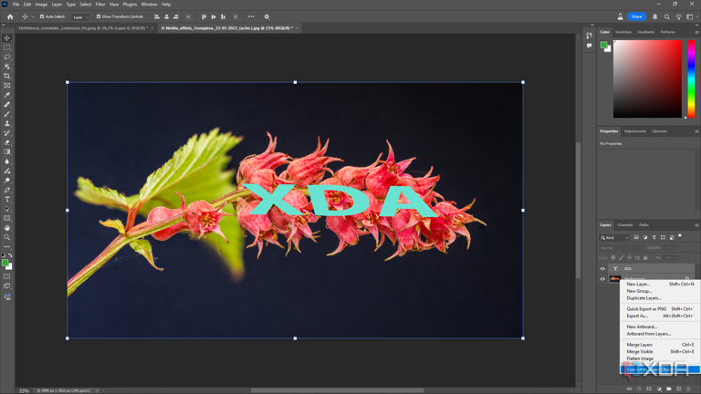 I finally understand why people keep paying for Photoshop