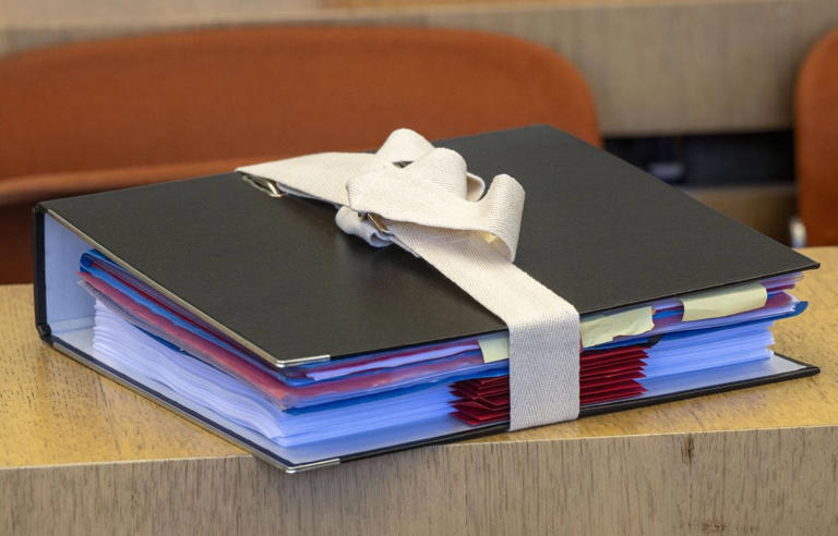 Le montant des fraudes sociales estimé à 14 milliards d’euros l’an ...