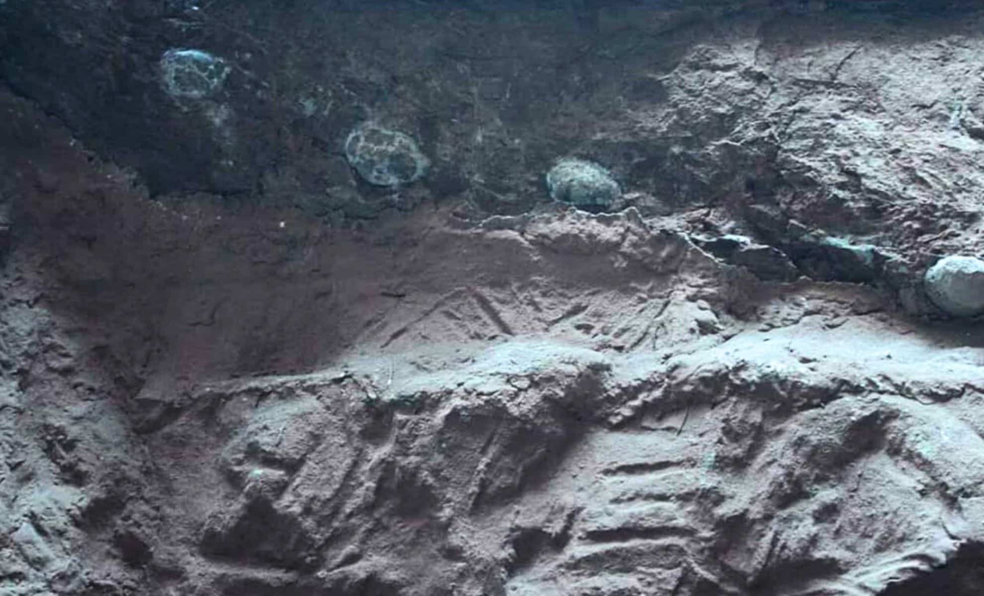 Dinosaur eggs as large as cannonballs were found filled with massive ...