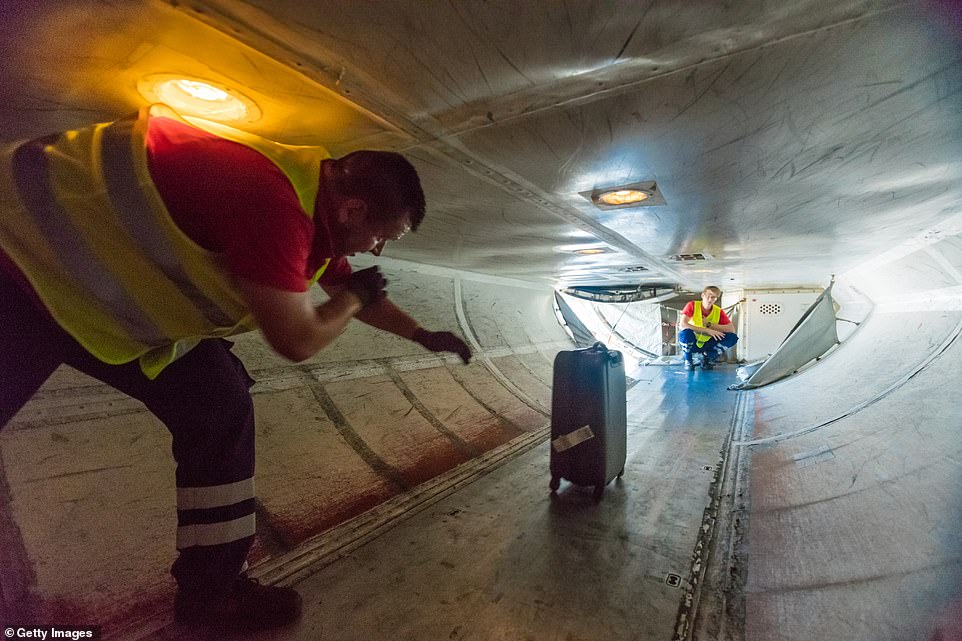 Air Canada flight returns to gate for trapped cargo worker
