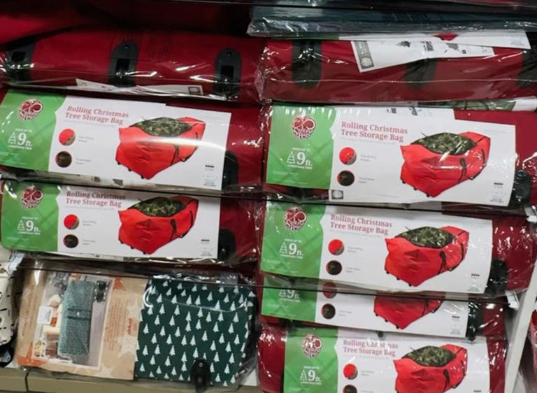 7 best HomeGoods storage solutions shoppers are grabbing right now